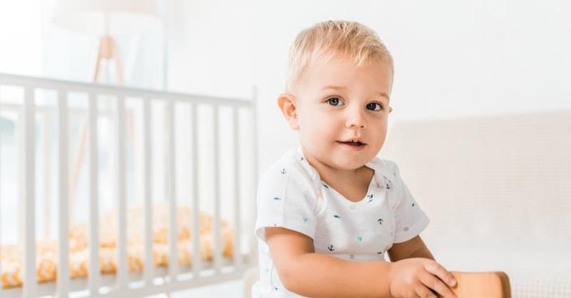 معنى اسم صقر | نواعم